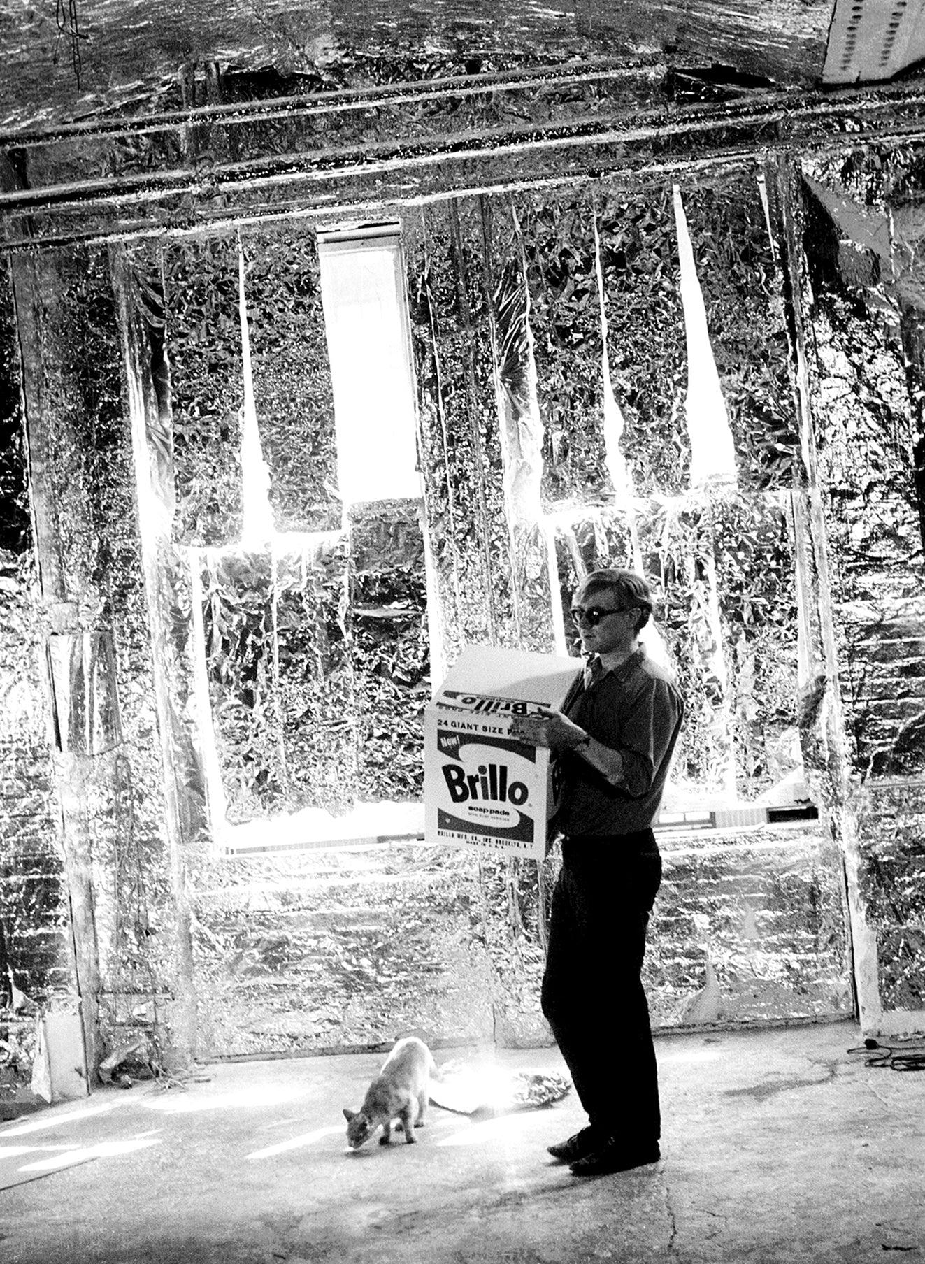 Andy Warhol with Brillo Box Sculpture and Ruby the Cat, 1964